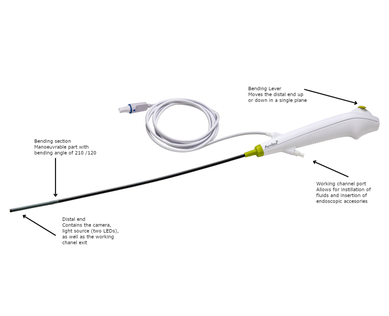 Ambu® aScope™ 4 Cysto | MKS Medic